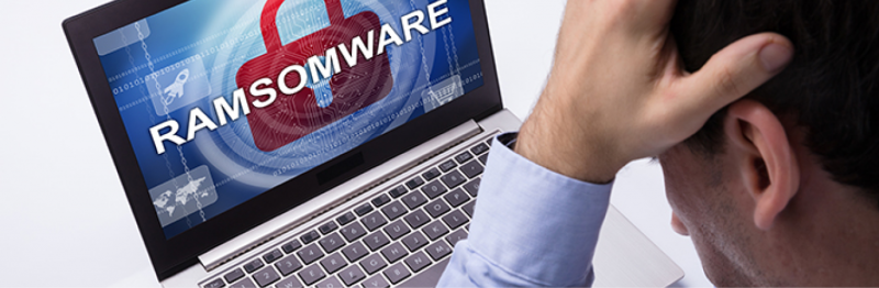 RIN: complete automatisering onder één dak, specialist in Wijchen