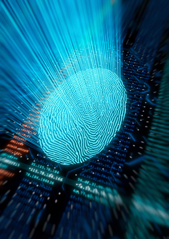 ICT oplossingen voor MKB - Wijchen - RIN B.V.